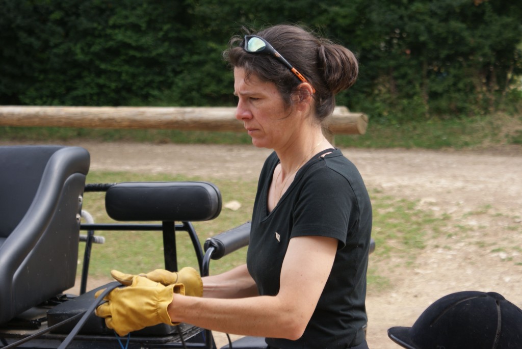 La réussite au bout des guides