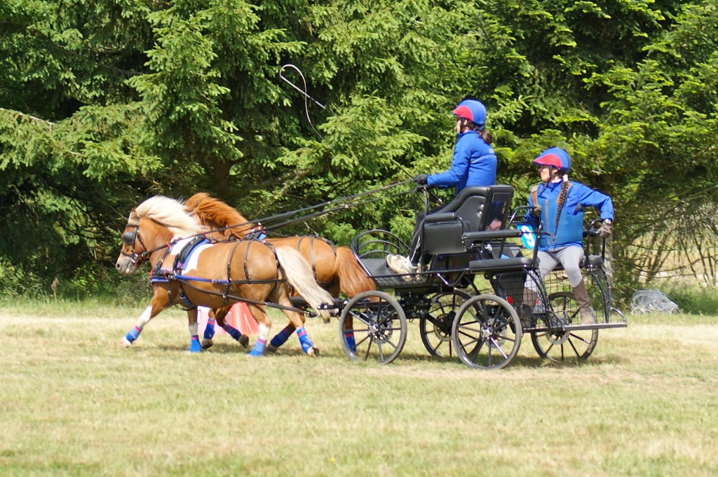 La réussite au bout des guides