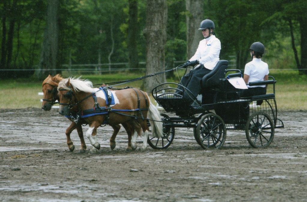 La réussite au bout des guides