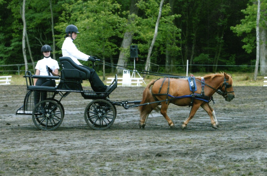 La réussite au bout des guides
