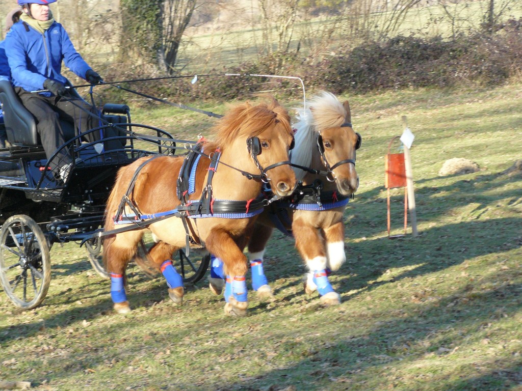 La réussite au bout des guides