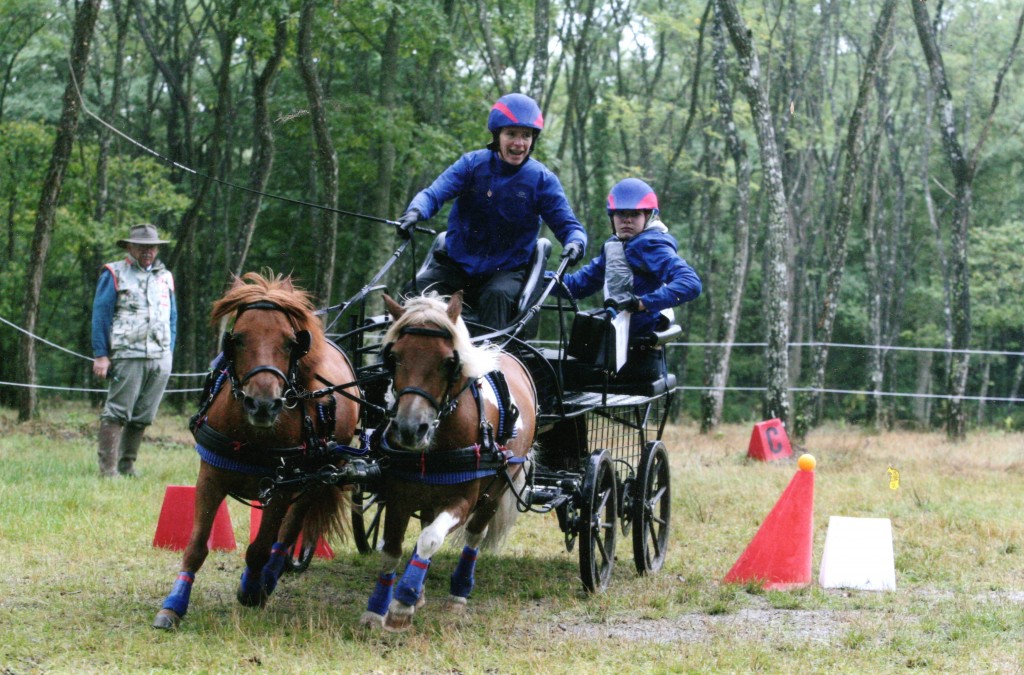 La réussite au bout des guides